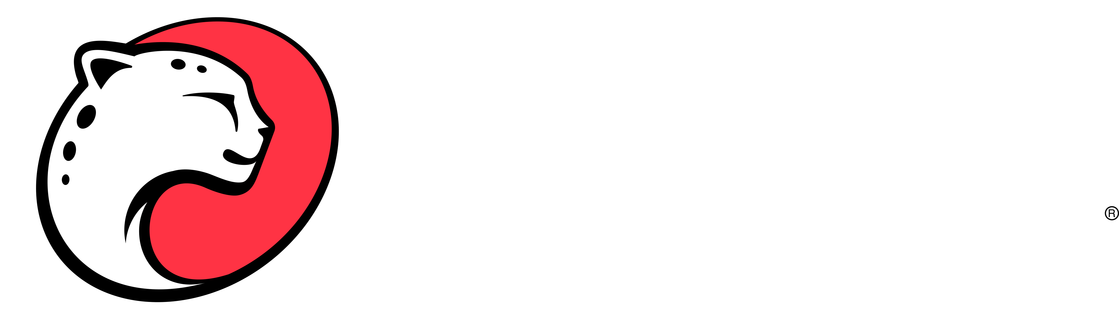 Playtika - Get To Know Us